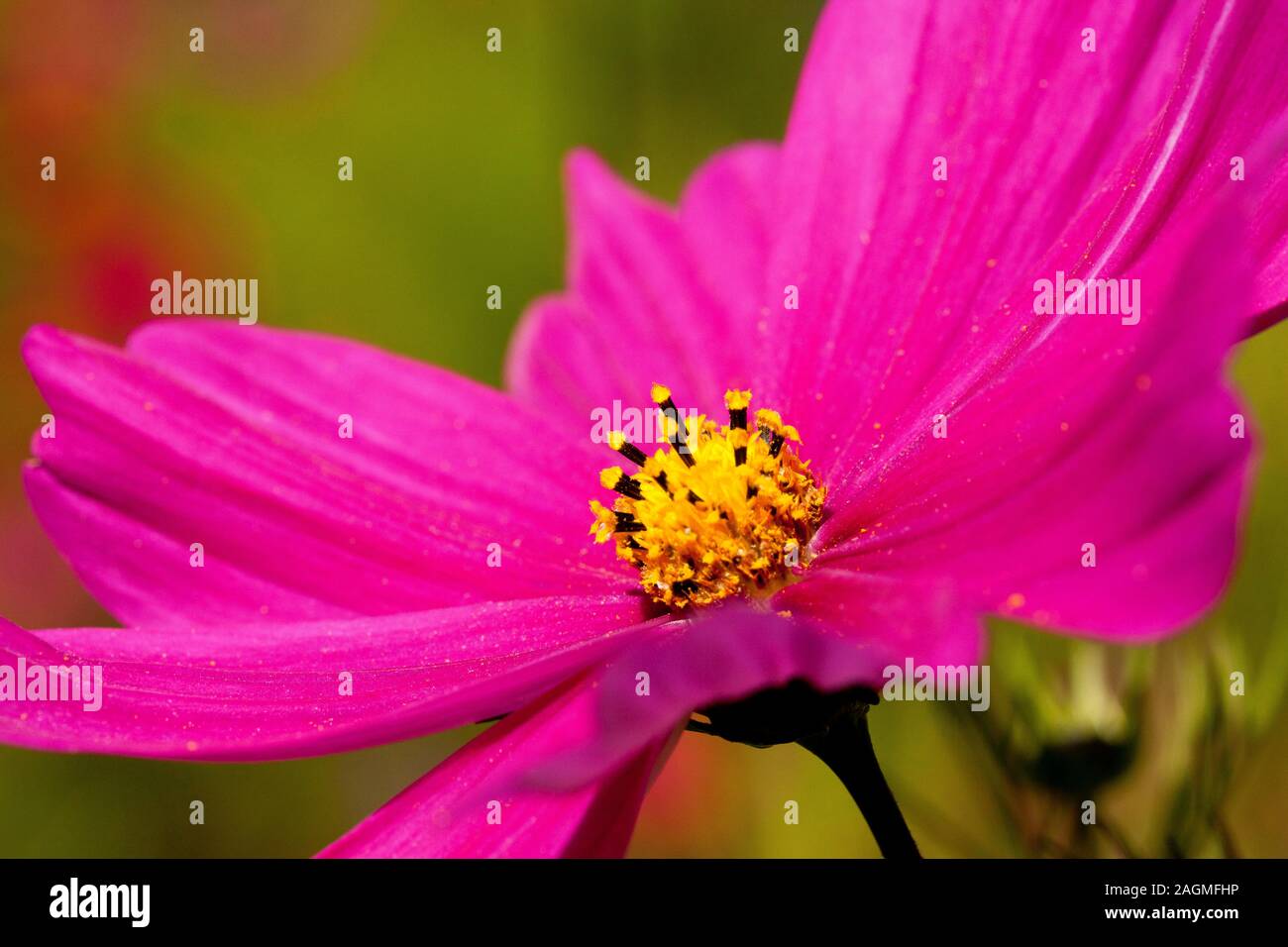 Offener kosmos -Fotos und -Bildmaterial in hoher Auflösung – Alamy