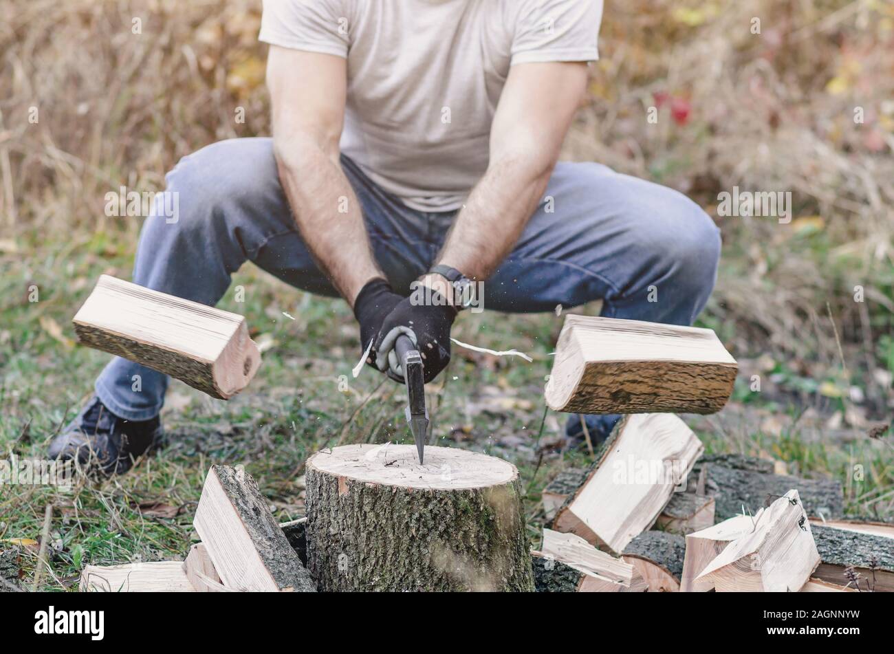 Birkenholz querschnitt -Fotos und -Bildmaterial in hoher Auflösung ...