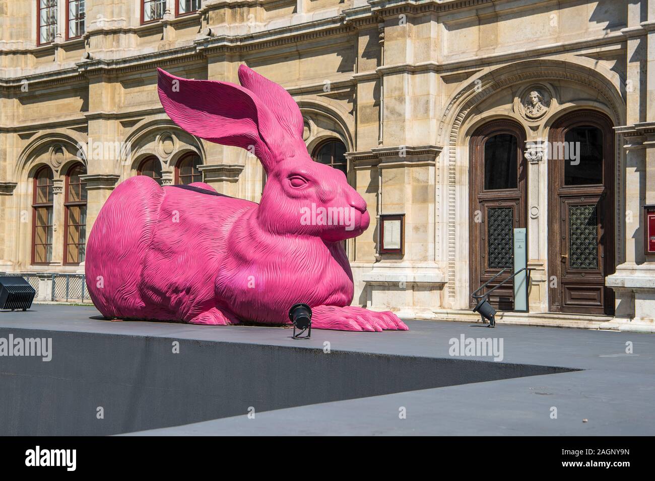 Österreich, Wien - Juni 4, 2019: Rosa jungen Dürer hase Statue neben ...