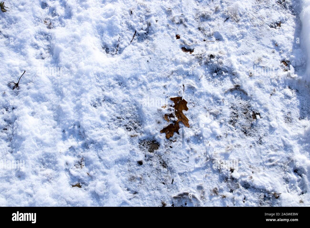 Der boden alles schnee -Fotos und -Bildmaterial in hoher Auflösung – Alamy
