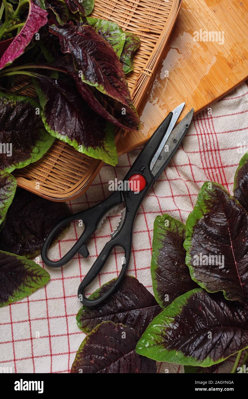 Red amaranth -Fotos und -Bildmaterial in hoher Auflösung – Alamy