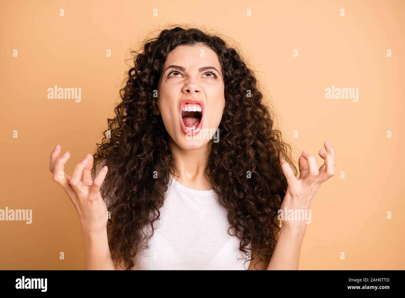 Dumme Leute Stockfotos und -bilder Kaufen - Alamy