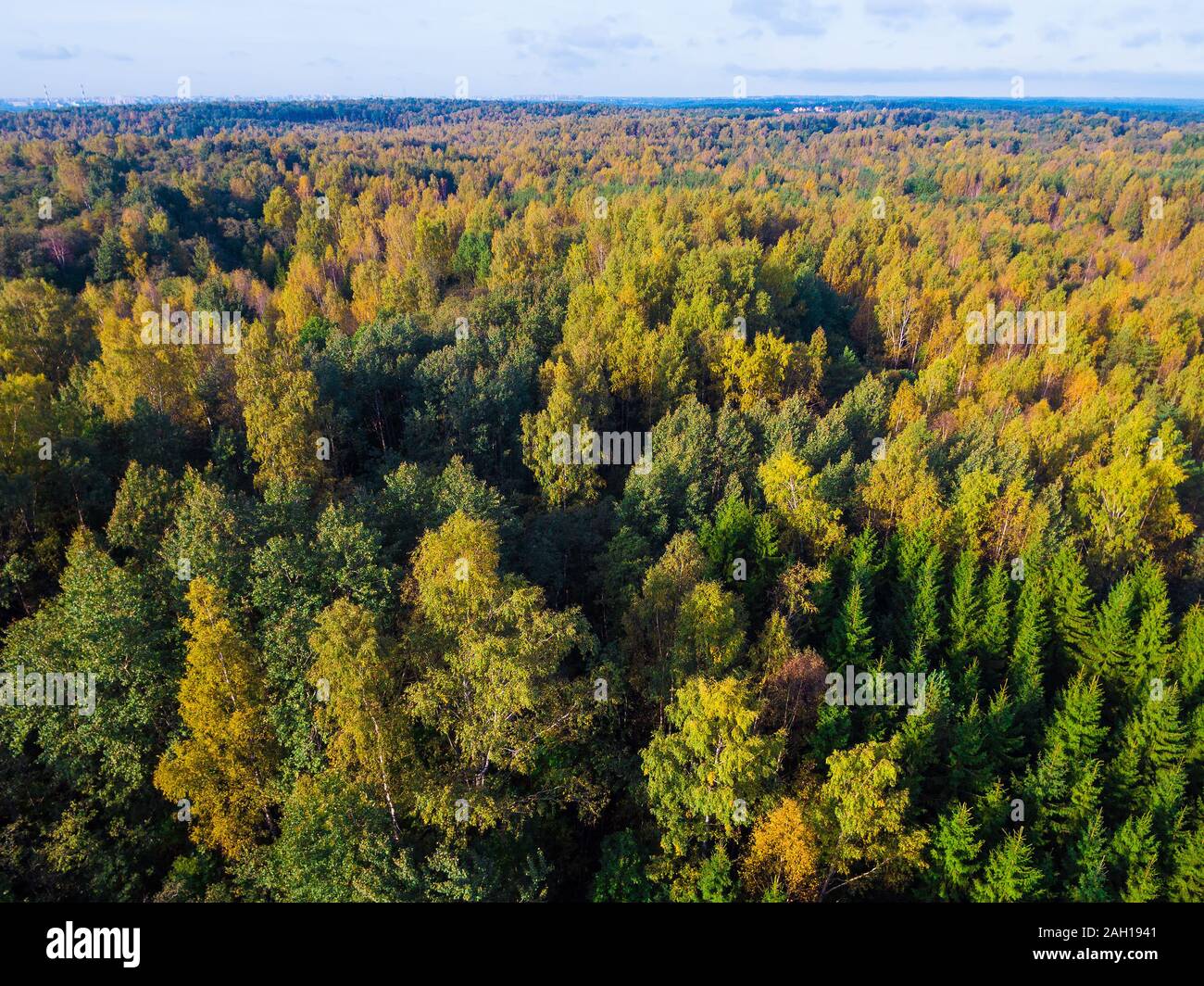 Mixed Forest In Autumn Mischwald Stockfotos und -bilder Kaufen - Alamy