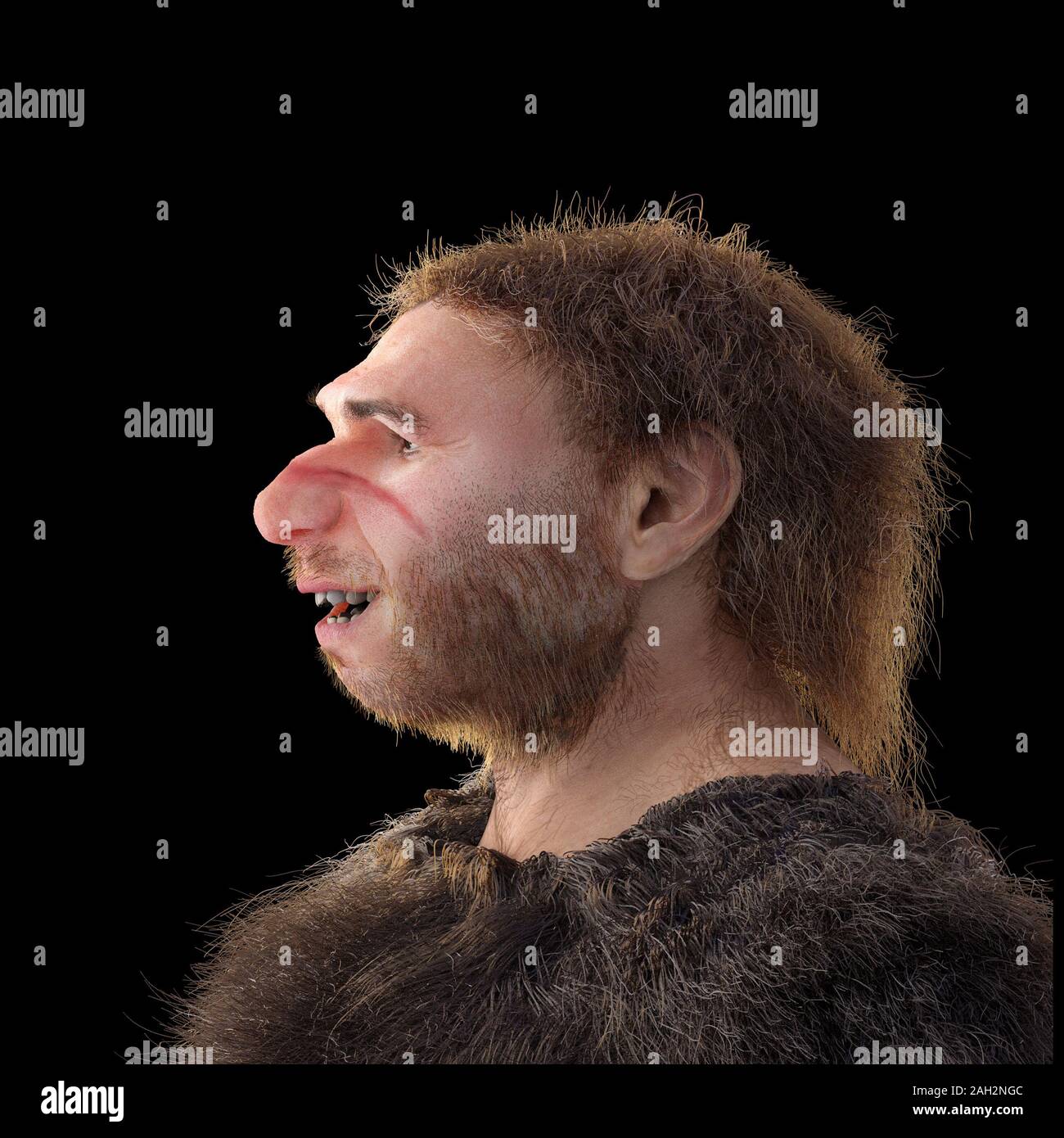 Neanderthal Museum Mettmann Stockfoto Lizenzfreies Bild