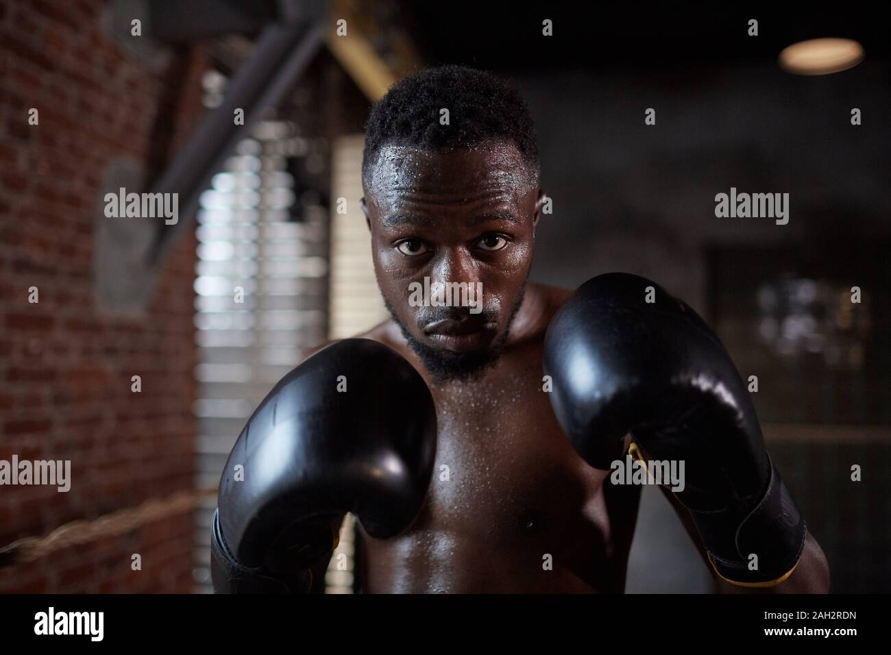 Afrikanischer Profi Stockfotos und -bilder Kaufen - Alamy