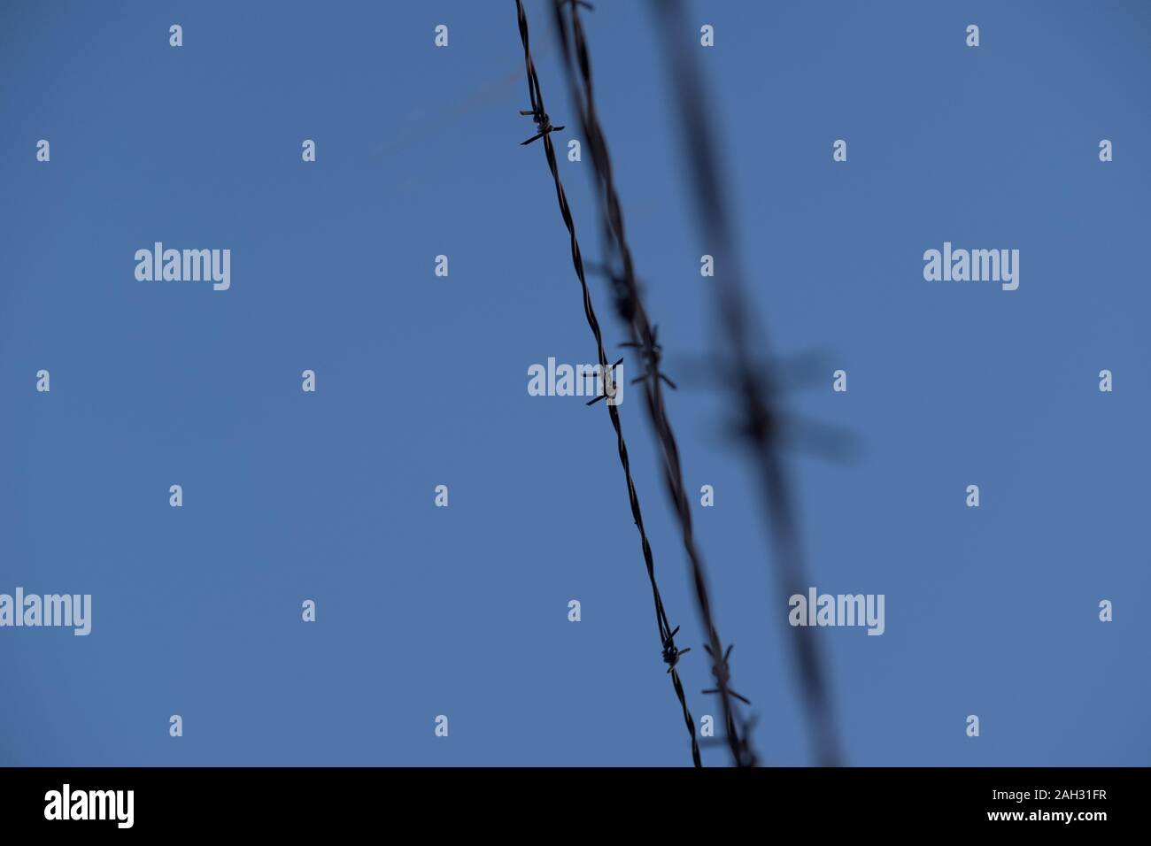 Stacheldraht fotos -Fotos und -Bildmaterial in hoher Auflösung – Alamy