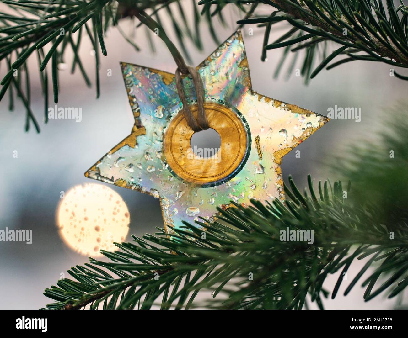 Cd auf einem baum -Fotos und -Bildmaterial in hoher Auflösung – Alamy