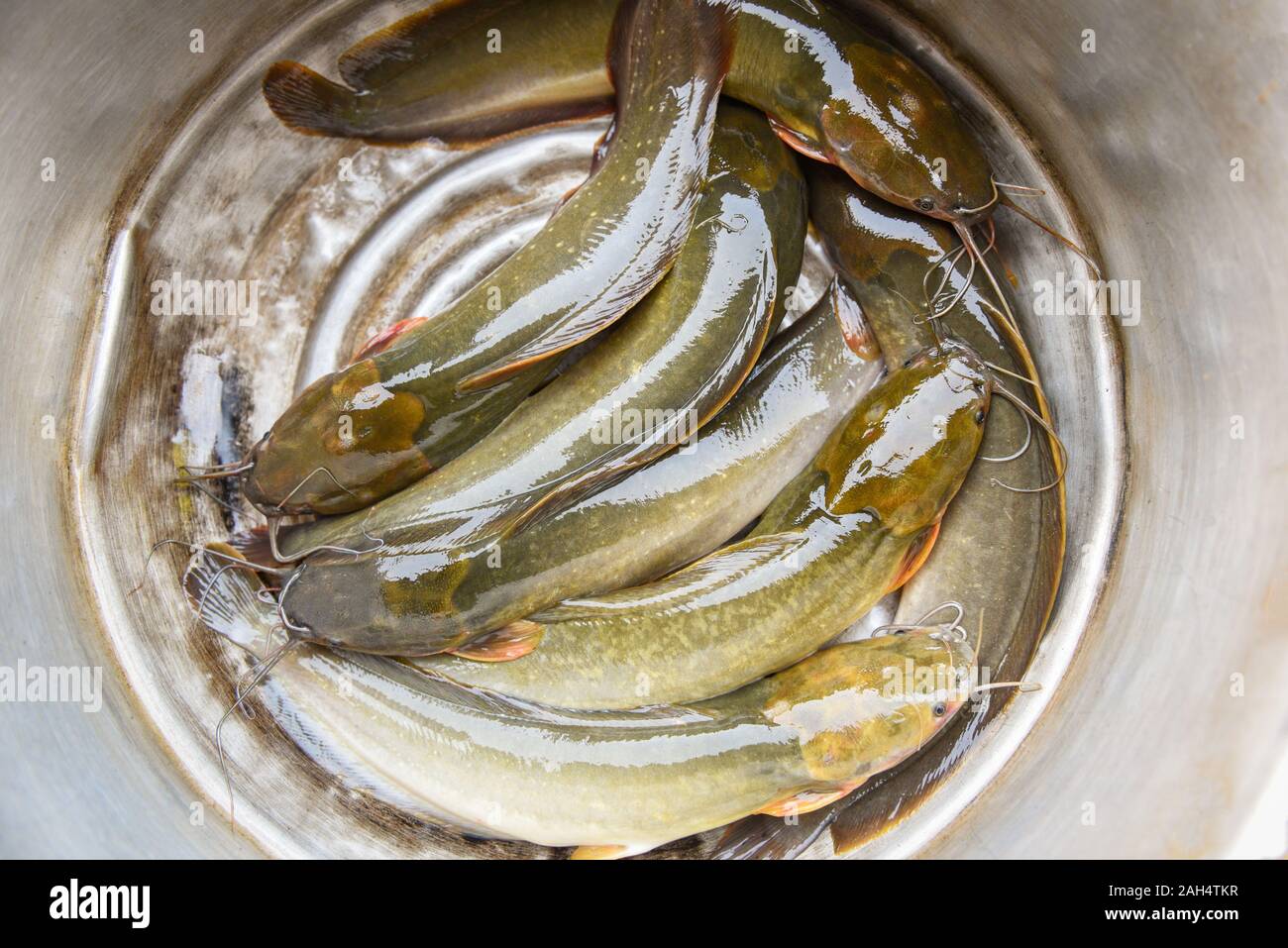 Kanal welssee -Fotos und -Bildmaterial in hoher Auflösung – Alamy