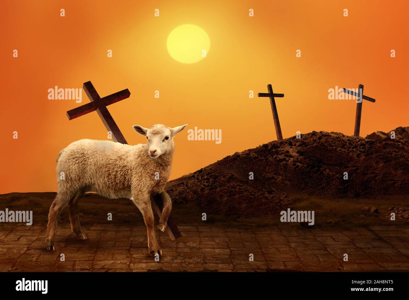 Jesus christ with lamb -Fotos und -Bildmaterial in hoher Auflösung – Alamy