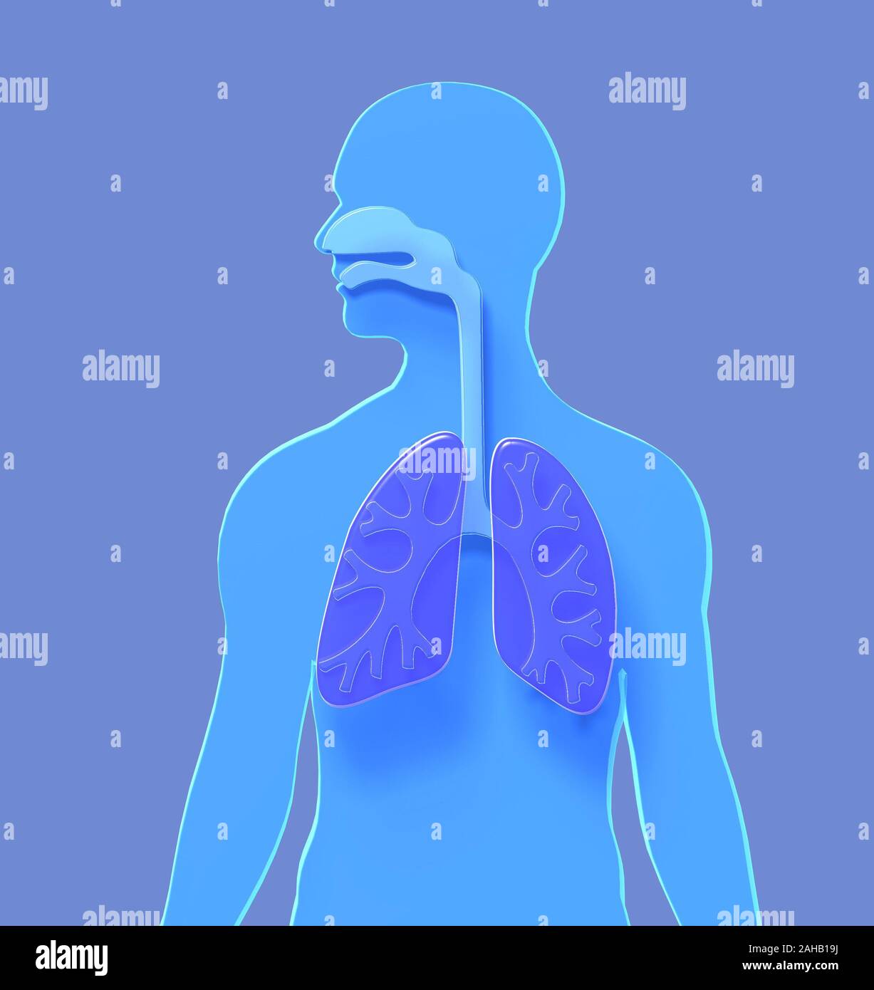 System schematic -Fotos und -Bildmaterial in hoher Auflösung – Alamy