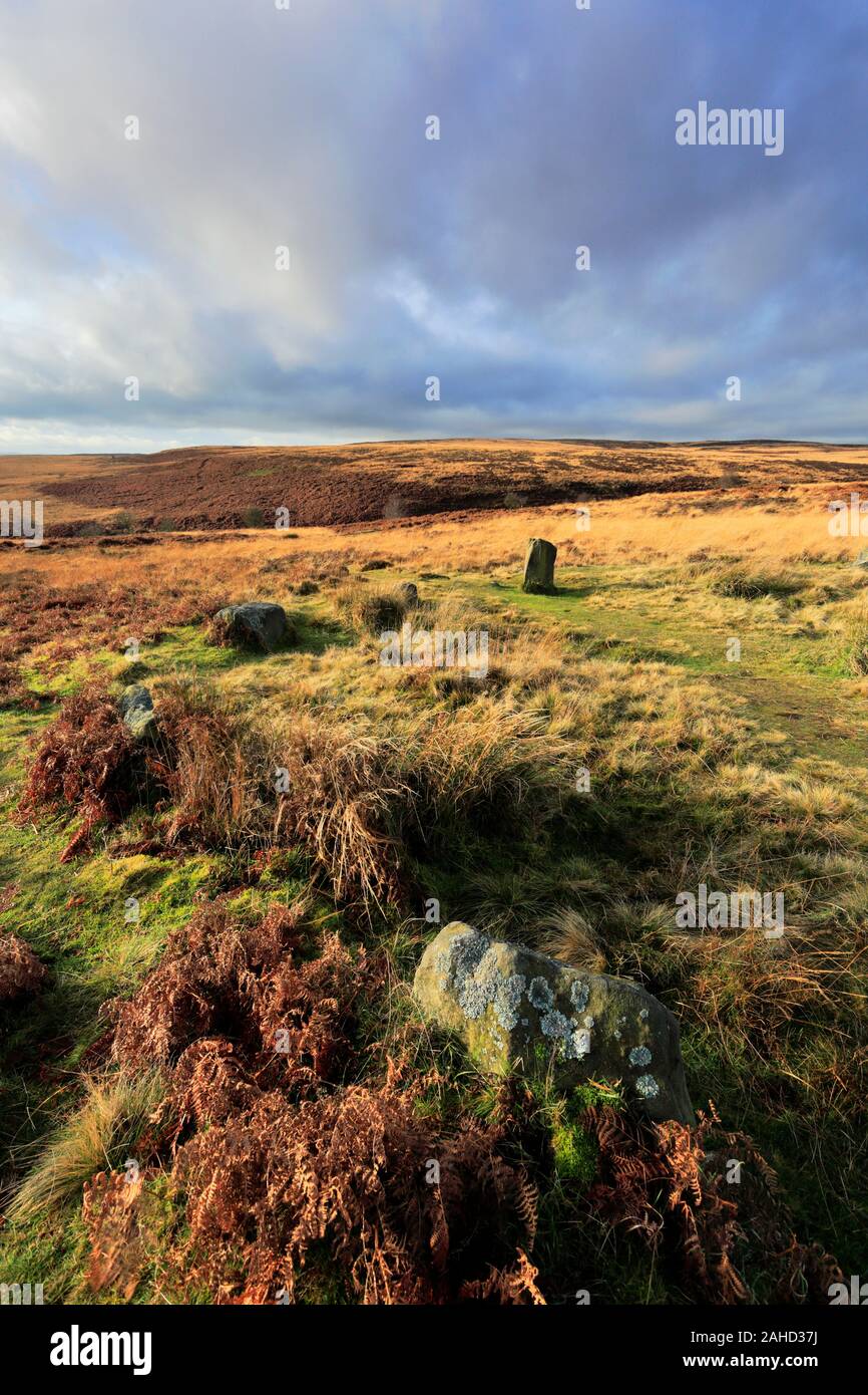 Barbrook 1stone kreis -Fotos und -Bildmaterial in hoher Auflösung – Alamy