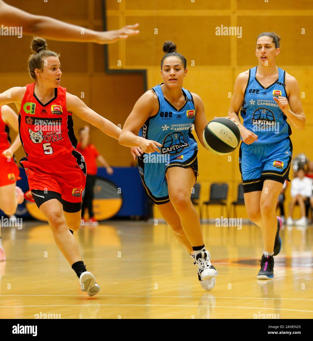 Perth lynx -Fotos und -Bildmaterial in hoher Auflösung – Alamy