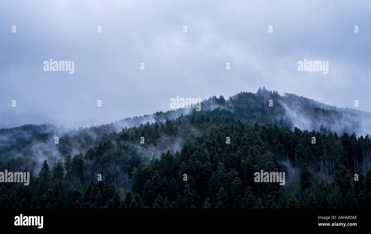 Wasserdampf steigt -Fotos und -Bildmaterial in hoher Auflösung – Alamy