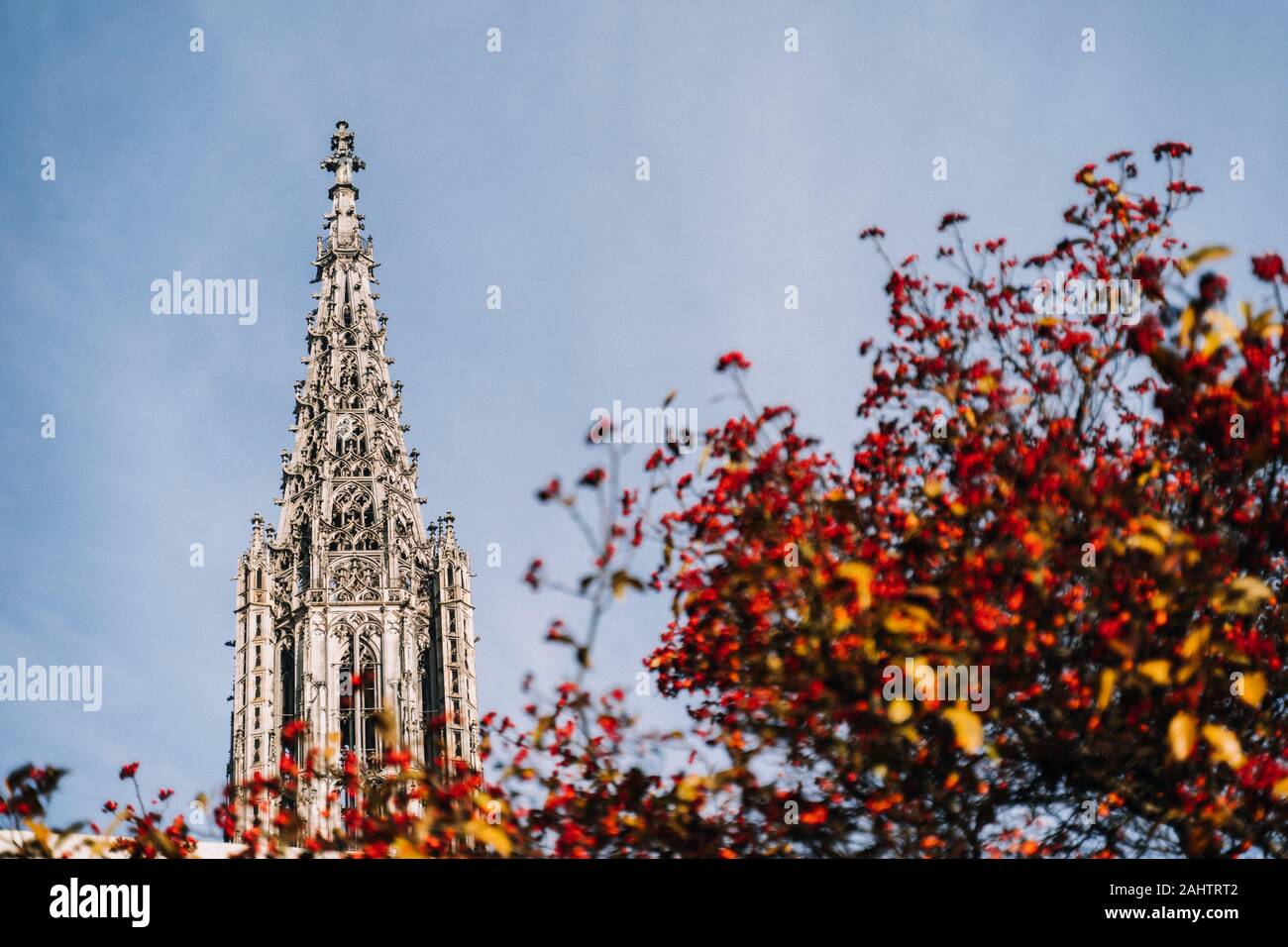 Ulmer muenster -Fotos und -Bildmaterial in hoher Auflösung – Alamy