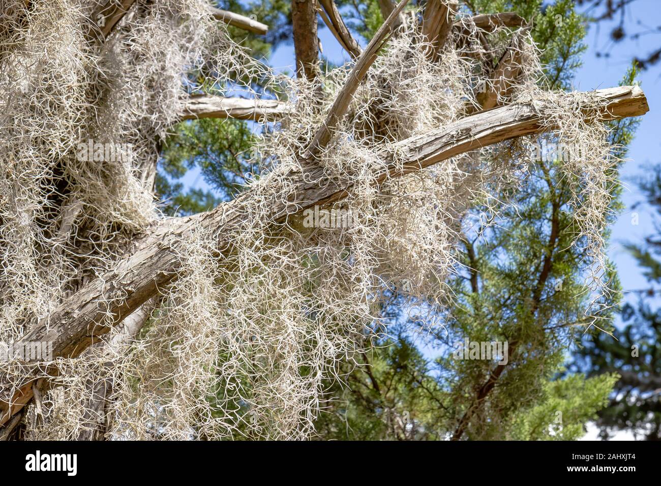 Schmerzfreies konzept -Fotos und -Bildmaterial in hoher Auflösung – Alamy
