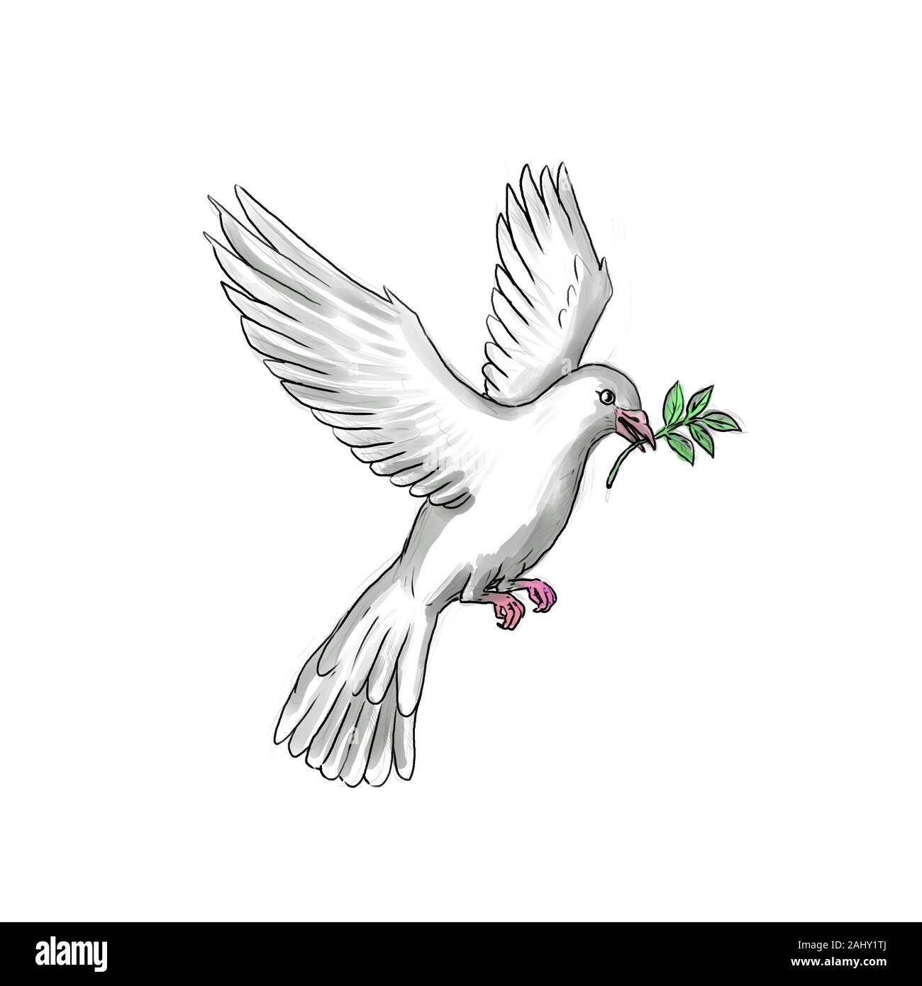Tattoo Style Abbildung einer Taube oder Taube fliegen mit dem ... Tattoo Style Abbildung einer Taube oder Taube fliegen mit dem ...
