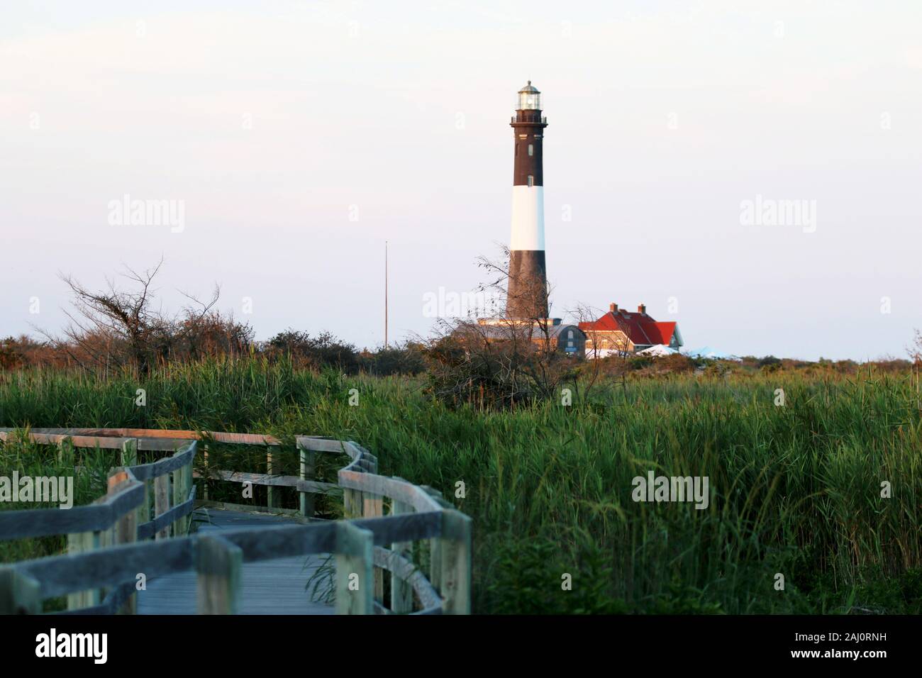 Weg mit langem gras an der seite -Fotos und -Bildmaterial in hoher ...