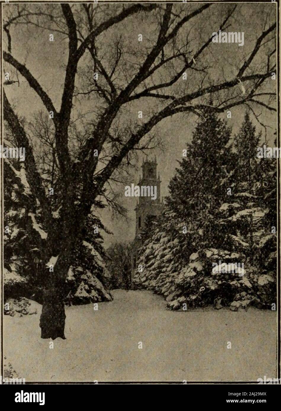 Sir loring nigel -Fotos und -Bildmaterial in hoher Auflösung – Alamy