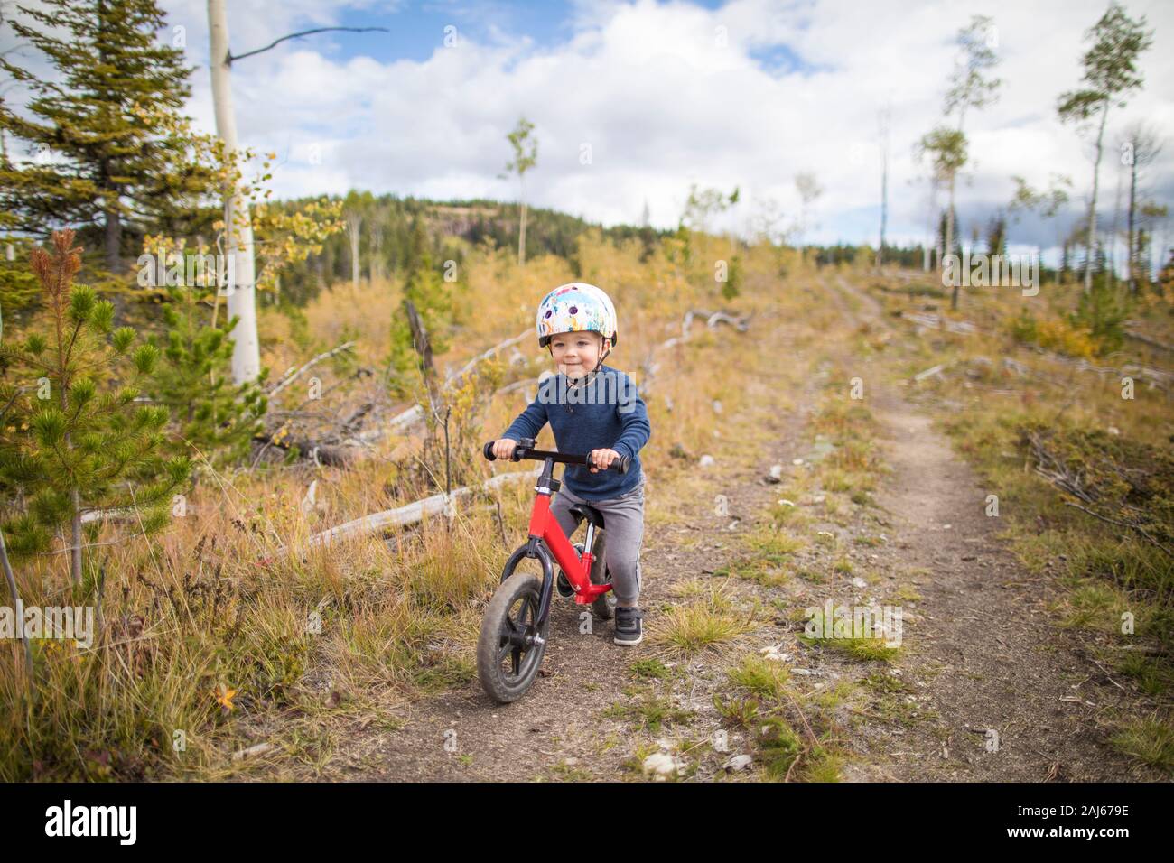 Radweg durch wald -Fotos und -Bildmaterial in hoher Auflösung – Alamy