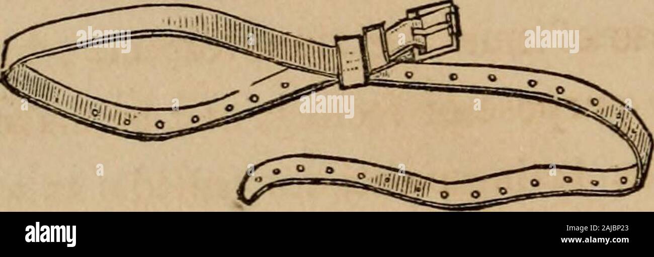 Das Pferd und seine Krankheiten: Umarmung seiner Geschichte und Sorten ...