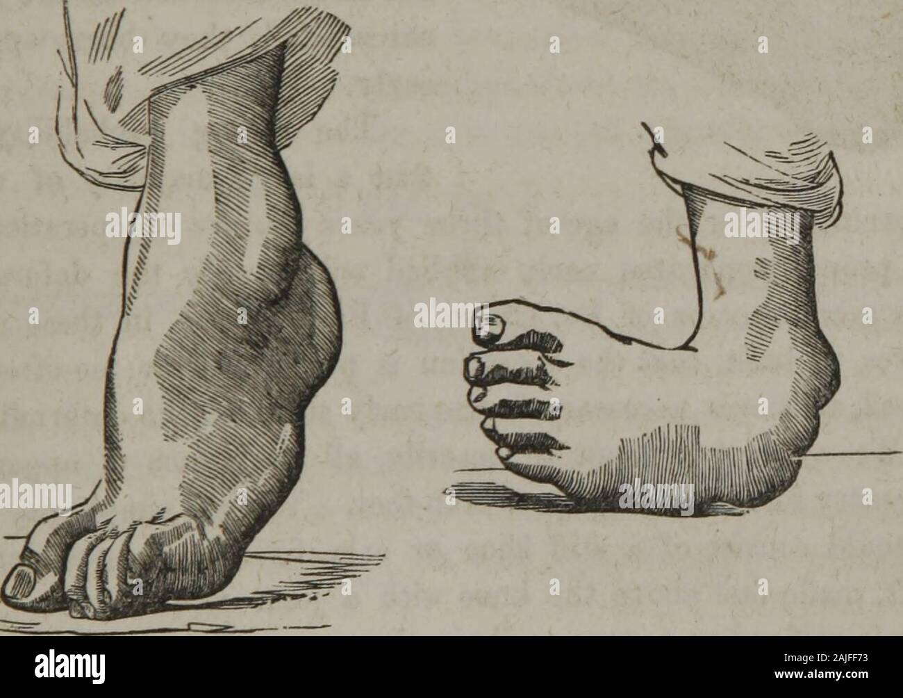 Die homöopathische Praxis der Chirurgie: Zusammen mit der operativen ...