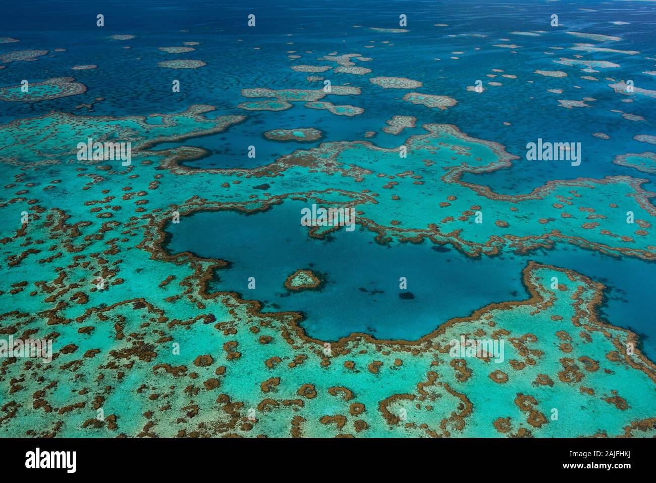 Das berühmte Heart Reef liegt am Hardy Reef, einem Teil des Great ...