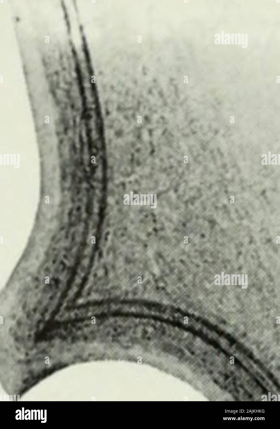 Zweites werk zeigt breitere -Fotos und -Bildmaterial in hoher Auflösung ...