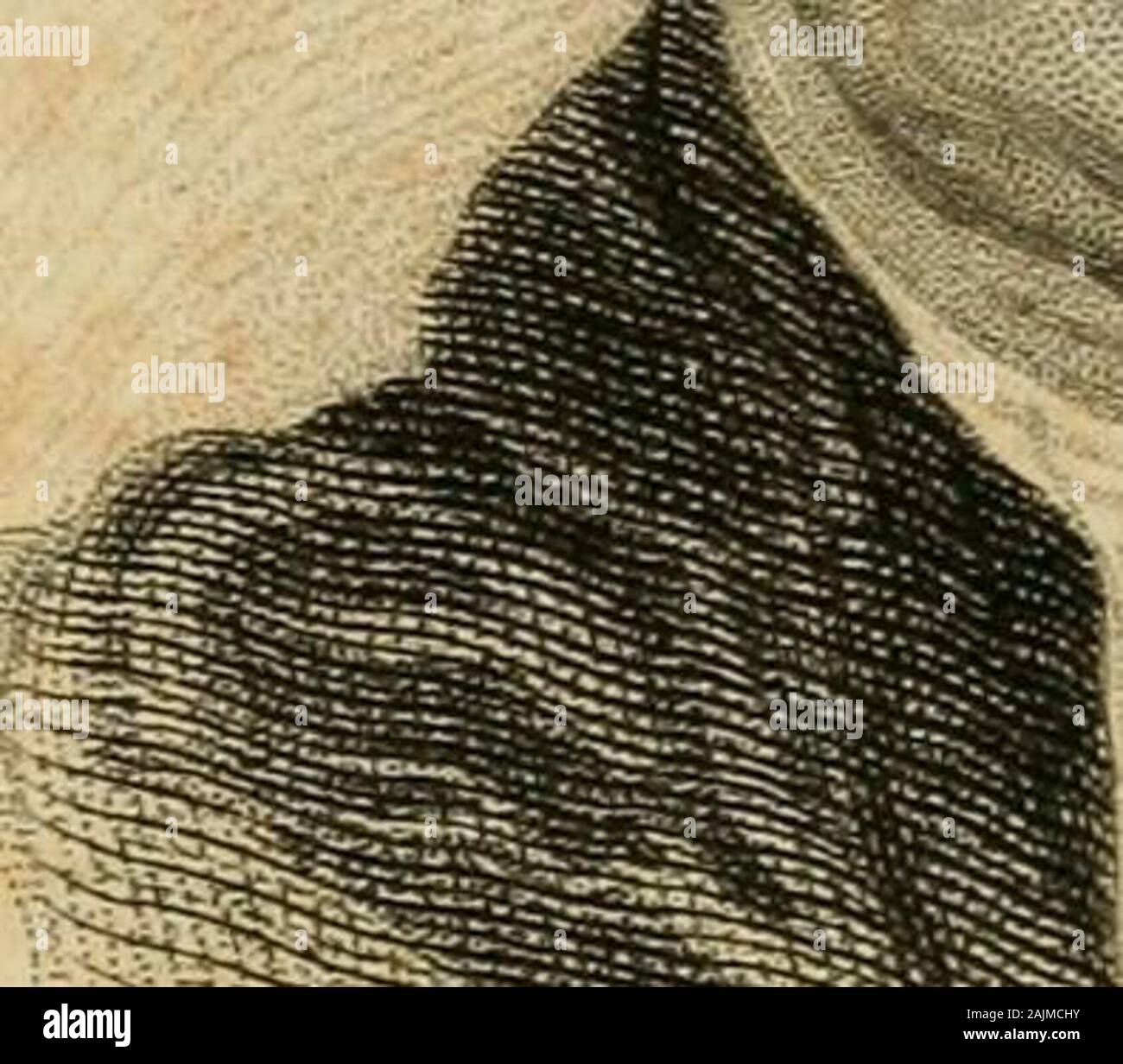 Die Väter und Gründer der London Missionary Society: ein Jubiläum ...