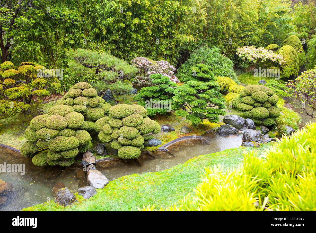 Japanischer teegarten -Fotos und -Bildmaterial in hoher Auflösung – Alamy