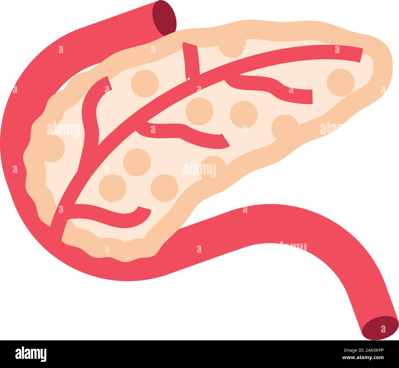 Pankreas Icon Design, menschliche Körper person Menschen Gesundheit ...