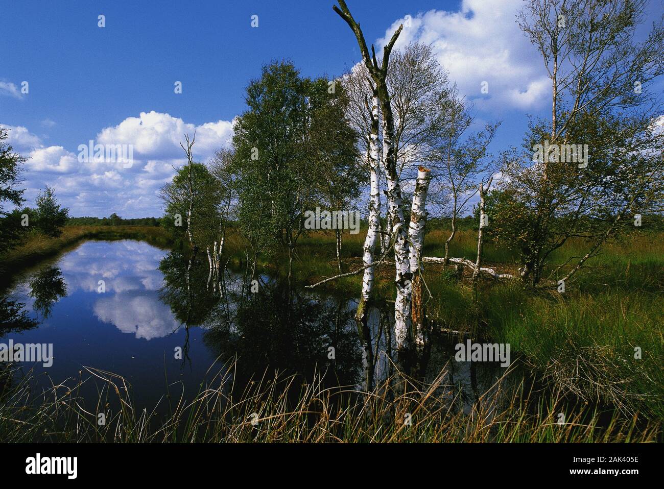Der Hahn Moor ist ein nutzbares wiederhergestellt, der Emsland Moor ...