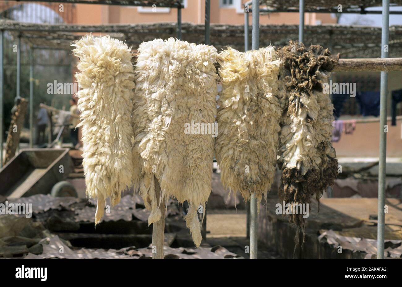 Sheep skins -Fotos und -Bildmaterial in hoher Auflösung – Alamy