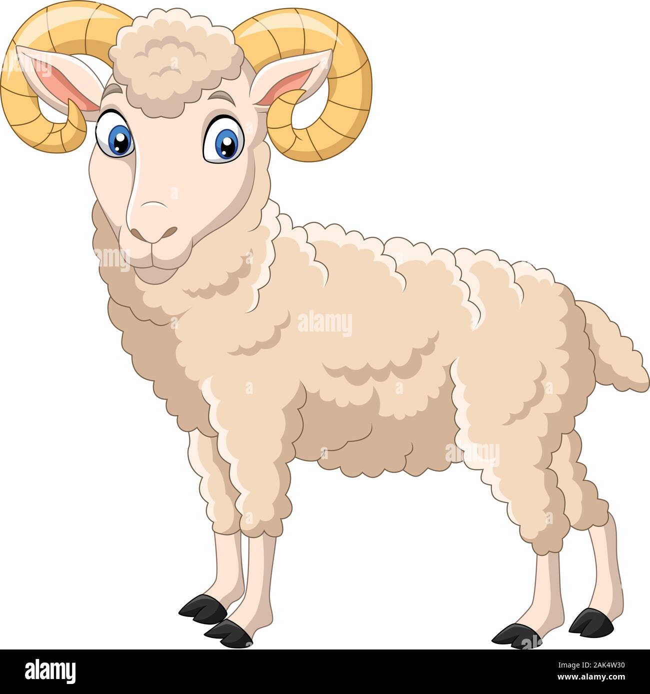 Schafrasse zeichnung Stock-Vektorgrafiken kaufen - Alamy