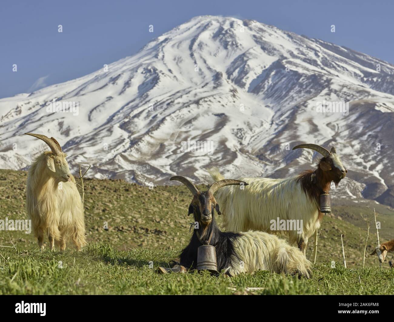 Elburs Gebirge Stockfotos und -bilder Kaufen - Alamy