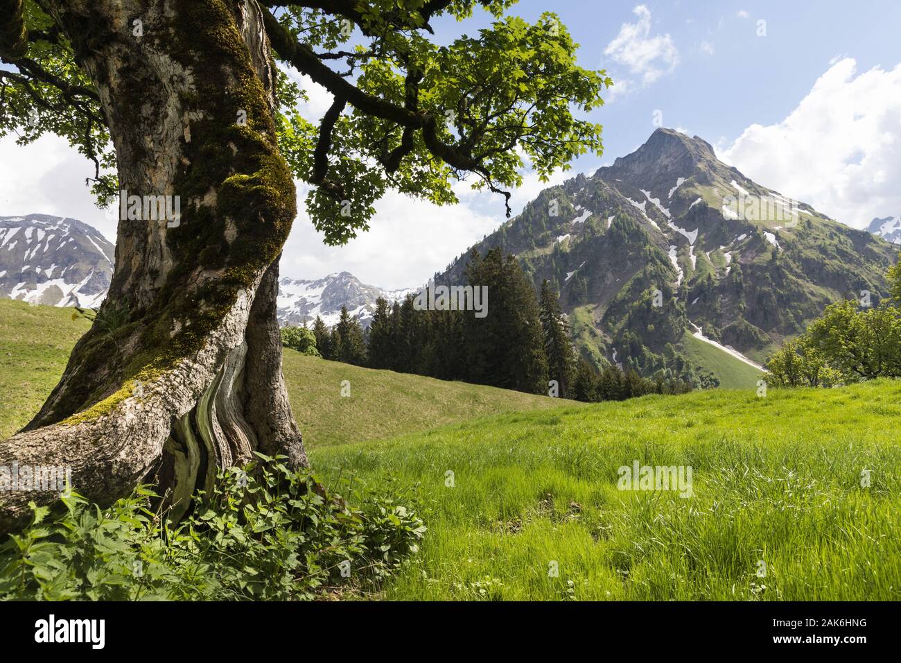 Hintersteiner sehen -Fotos und -Bildmaterial in hoher Auflösung – Alamy