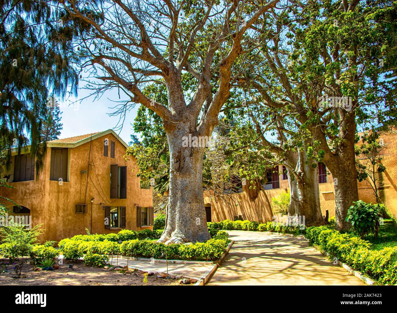 Gore island dakar -Fotos und -Bildmaterial in hoher Auflösung – Alamy