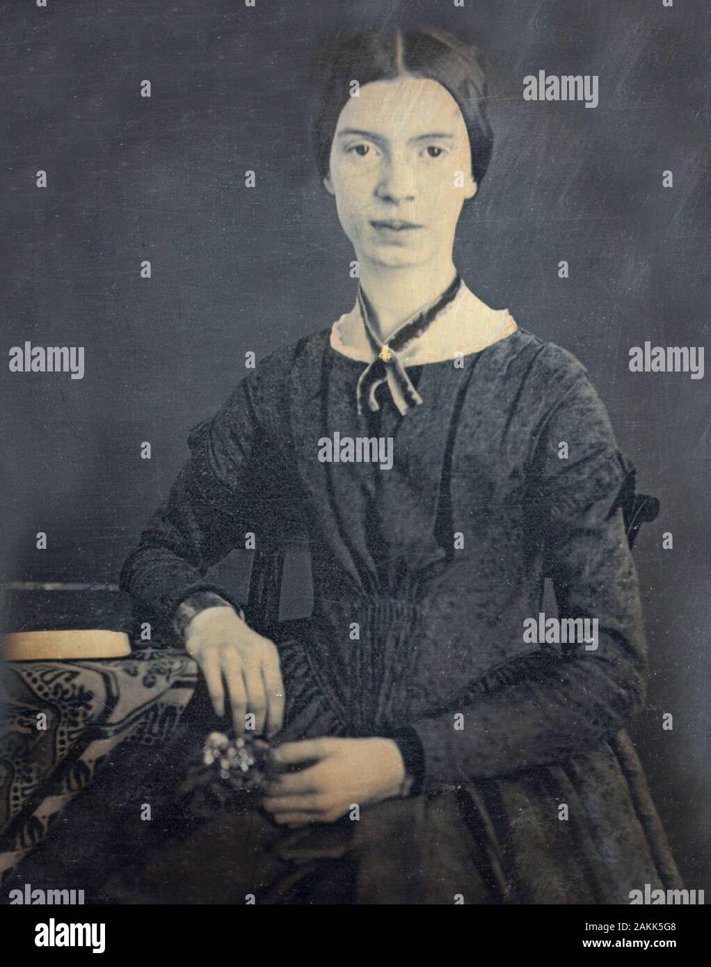Emily Dickinson, amerikanische Dichter, Emily Elizabeth Dickinson (1830 ...