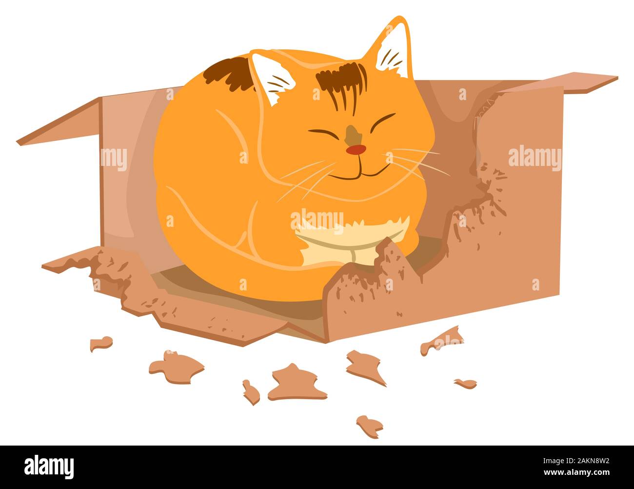 Abbildung: eine Tabby-katze beißen und Kratzen ein Karton ...