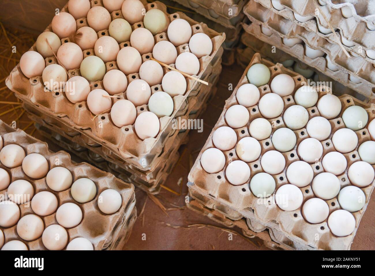 Frische Eier weiße Ente ei Box/produzieren Eier frisch vom Bauernhof ...