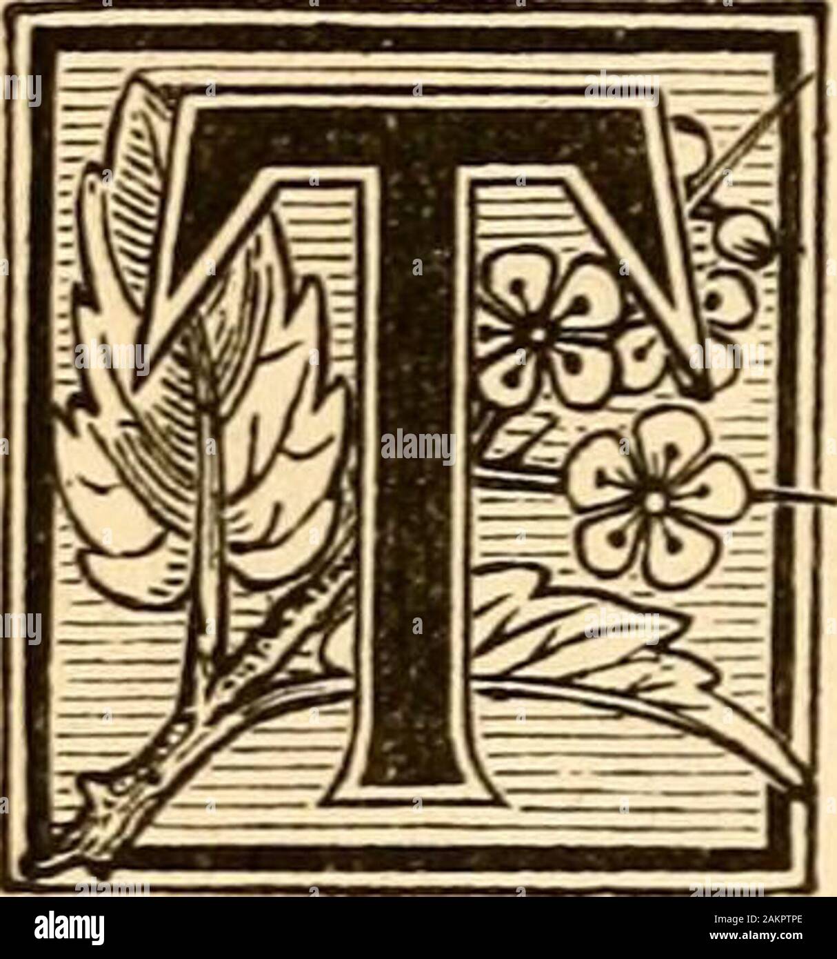 Im Knabenalter von Lincoln; eine Geschichte der Tunker Schulmeister und ...