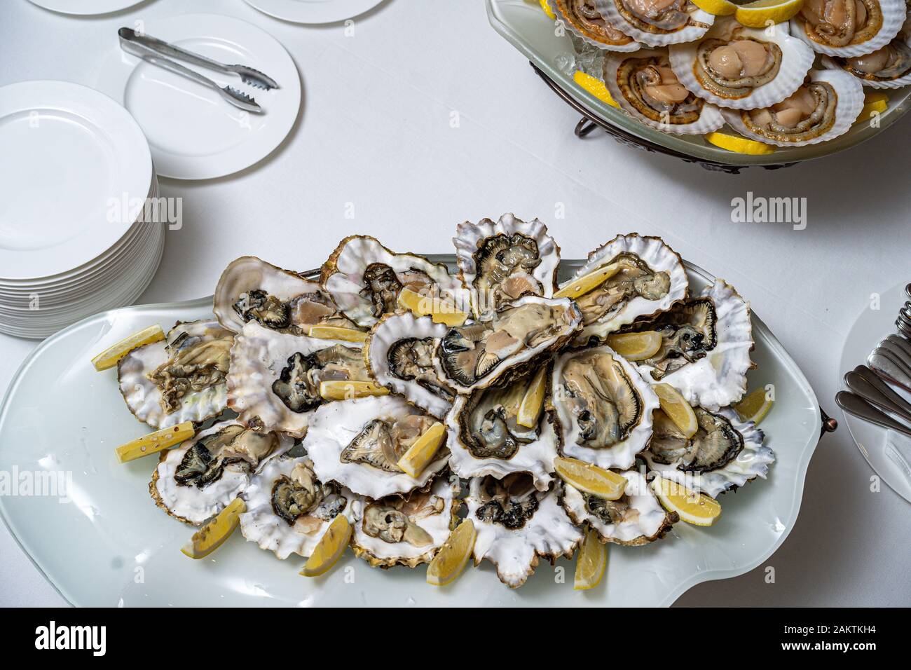Frische offene Auster auf weißem Teller. Im Restaurant Vorspeise ...