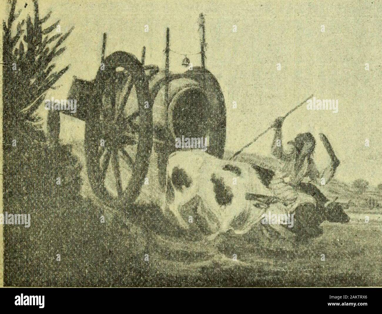 Articulos de cuero -Fotos und -Bildmaterial in hoher Auflösung – Alamy