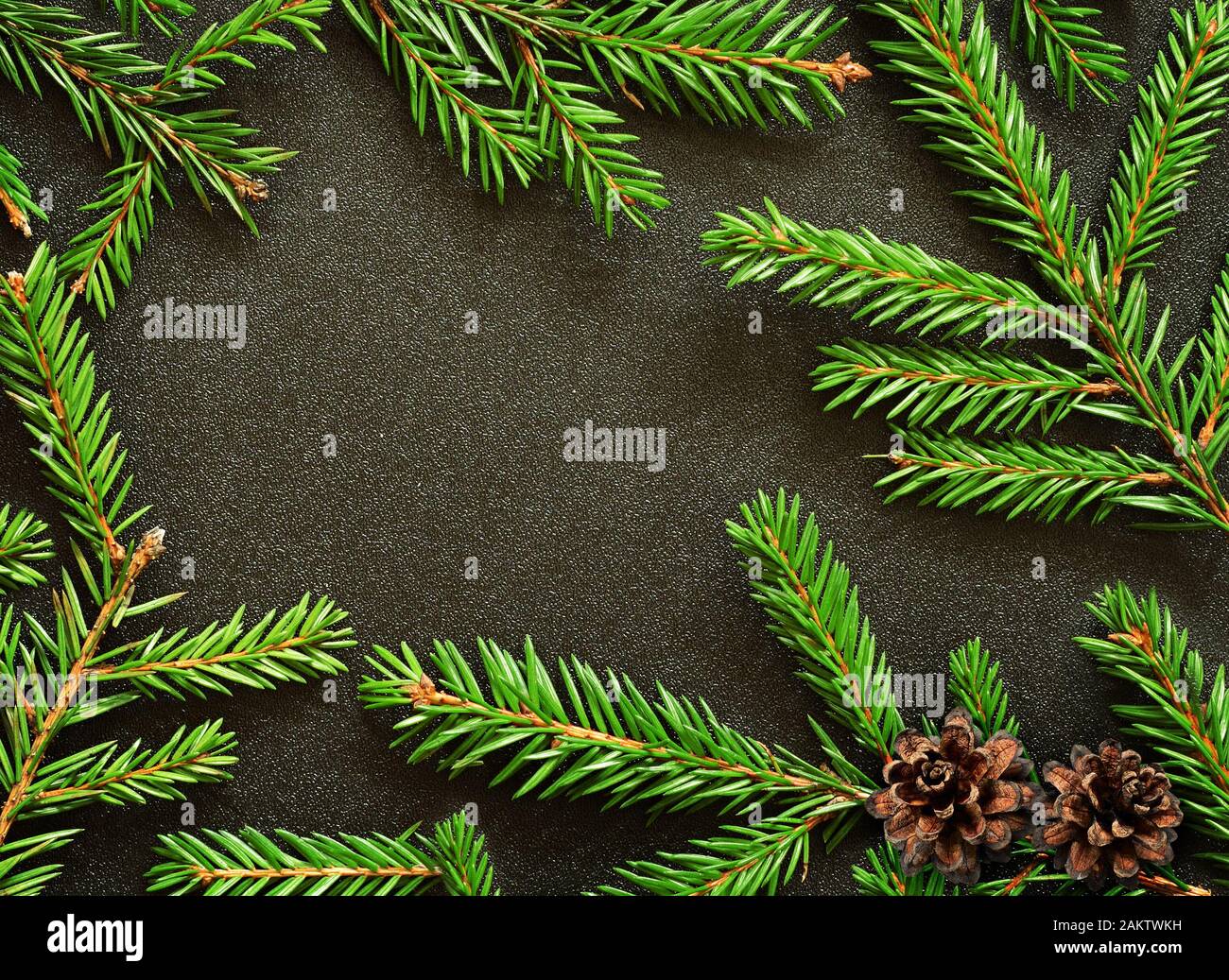 Tanne zweige -Fotos und -Bildmaterial in hoher Auflösung – Alamy Tanne zweige -Fotos und -Bildmaterial in hoher Auflösung – Alamy