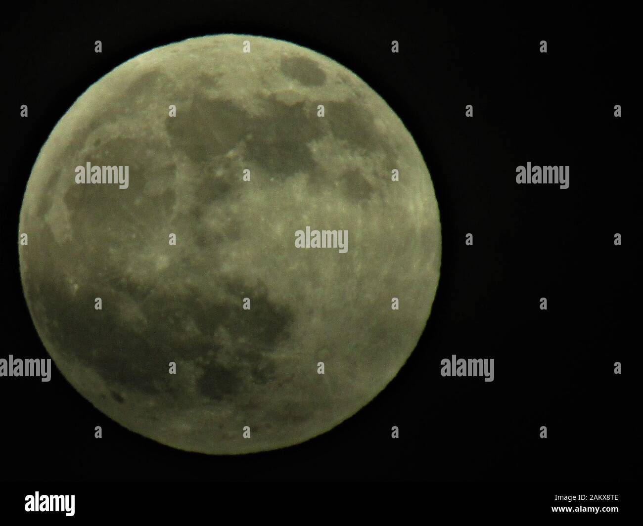 Mond Wolf Stockfotos und -bilder Kaufen - Alamy