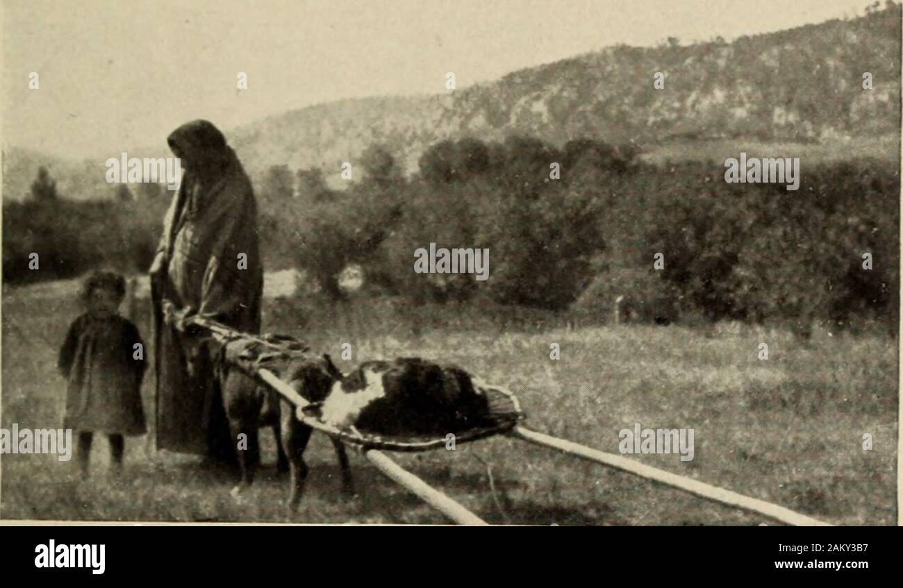 Horse with travois -Fotos und -Bildmaterial in hoher Auflösung – Alamy