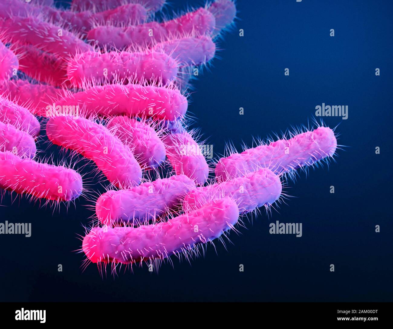 Erreger Pathogen Stockfotos und -bilder Kaufen - Alamy