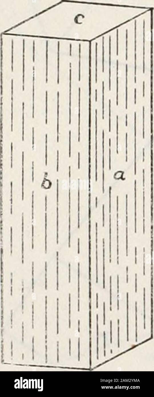 Verfahren der United States National Museum. biaxiale, negative, 2V ...