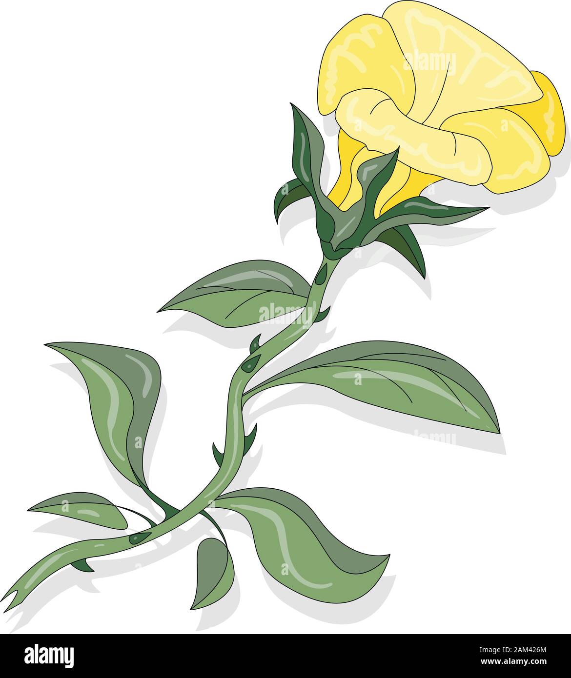 Kuriose blüten Stock-Vektorgrafiken kaufen - Alamy