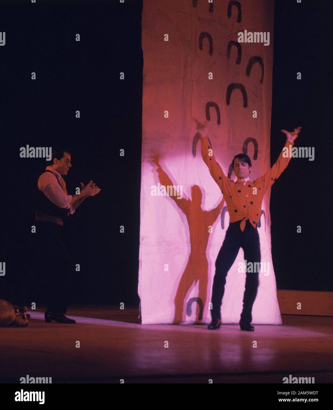 Martinete -Fotos und -Bildmaterial in hoher Auflösung – Alamy