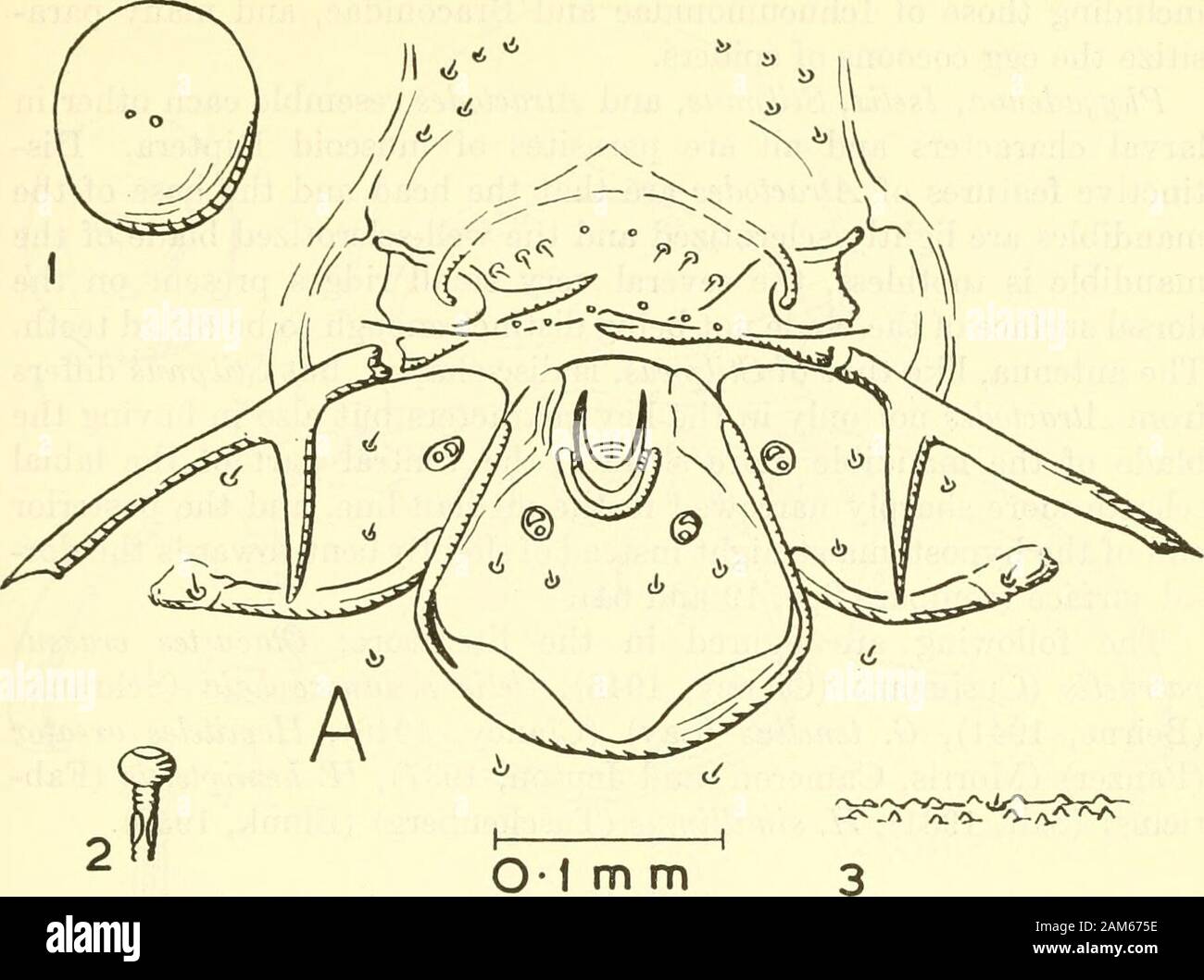Verfahren der United States National Museum. ; E^^^^^^^^^ &A2Ol mm ...